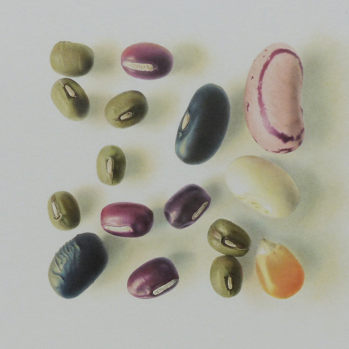 Sigrid Muller : Artist : Bethlehem – Studio Cennen