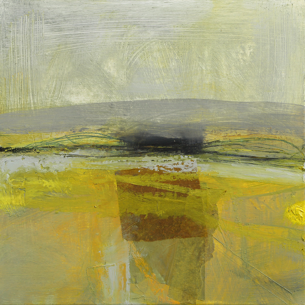 Field – St. Elvis 2 – Studio Cennen