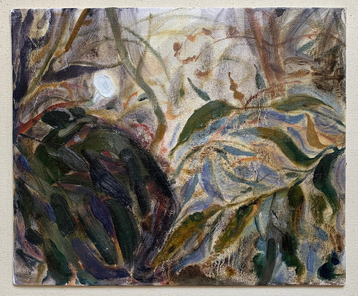 Studio Window – Studio Cennen