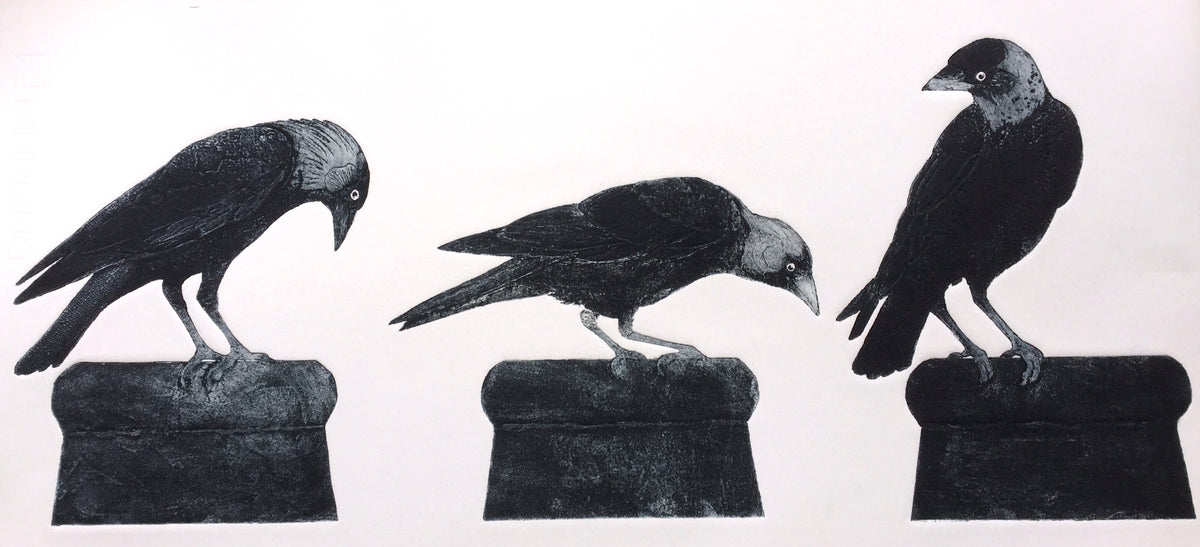 Mi welais Jac y Do – Studio Cennen