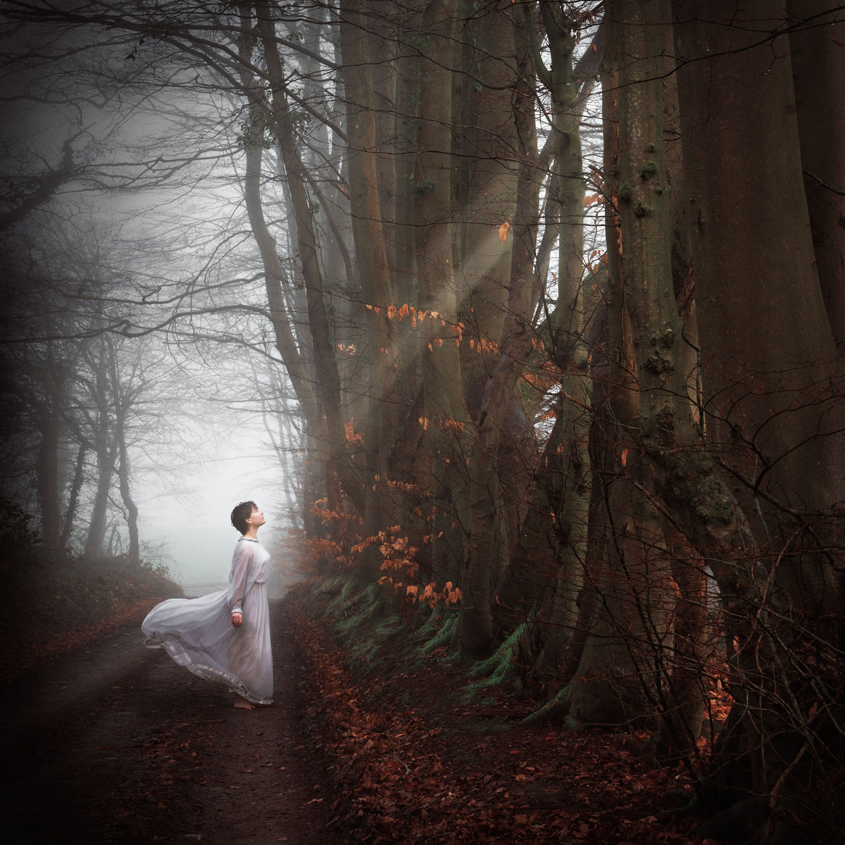 Homage to Nature – Studio Cennen